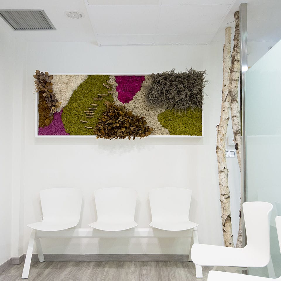 Quadro vegetale stabilizzato - CUSTOM+PLANTS - Greenarea - in muschio ...