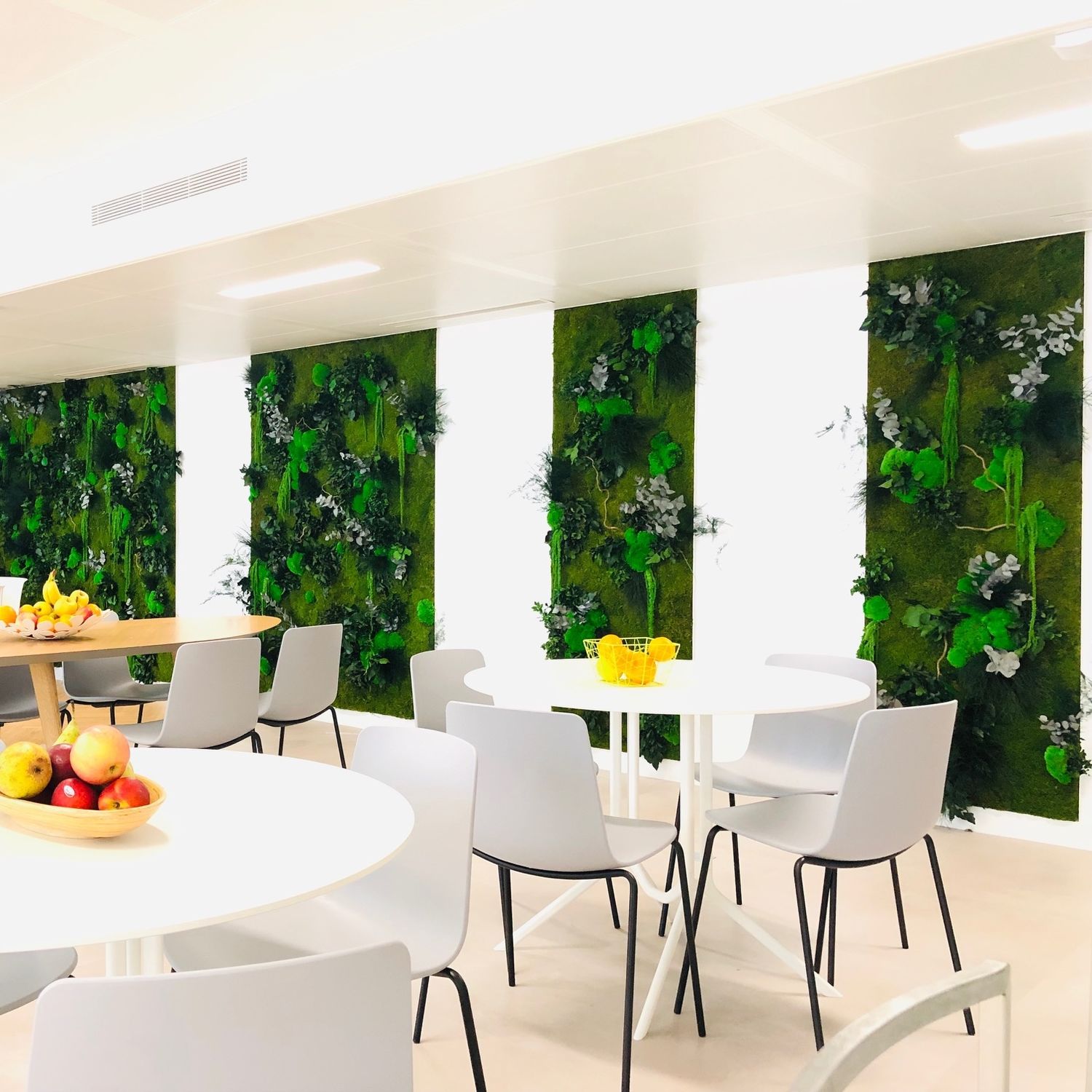 Parete vegetale stabilizzata - RELIEF - VEGETAL INDOOR - in pannelli ... Parete vegetale stabilizzata - RELIEF - VEGETAL INDOOR - in pannelli ...