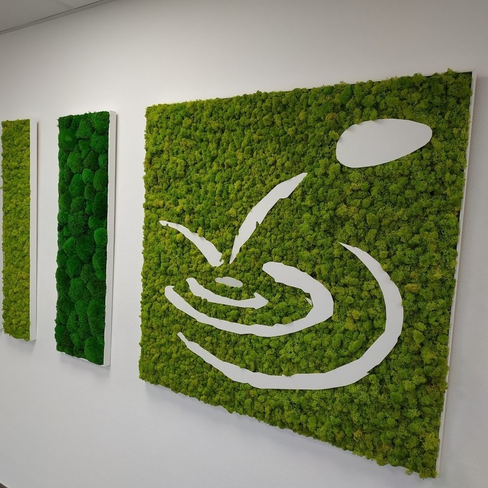 Quadro vegetale stabilizzato - Végétal Indoor - in lichene / da interno ... Quadro vegetale stabilizzato - Végétal Indoor - in lichene / da interno ...