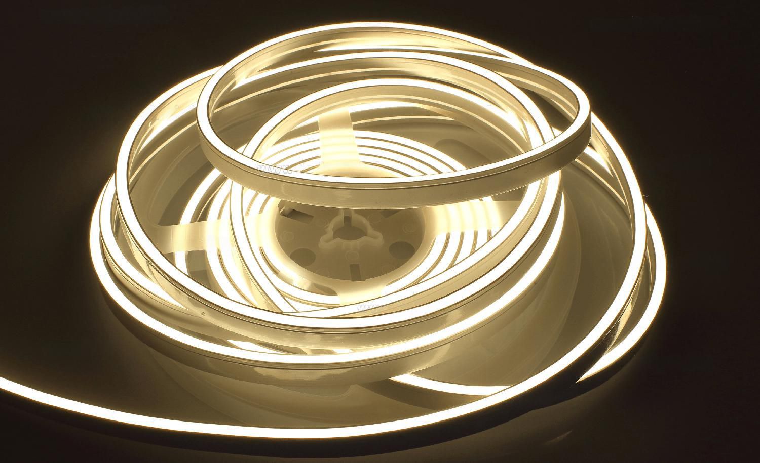 Striscia flessibile a LED - NEO6LT-300-120D22-5 - Ledpoint