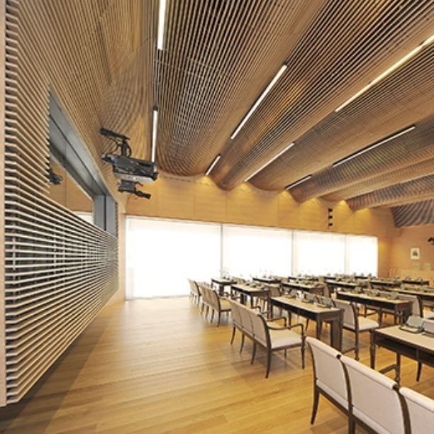 Controsoffitto in legno massiccio - Derako® Solid Grill BaseLine ...