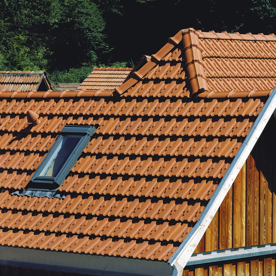 Tegola speciale - HERZZIEGEL - CREATON - portoghese / marsigliese / piccola