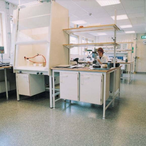 Pavimento in resina - Flowshield Quartz - Tremco CPG Iberia & Italy ...