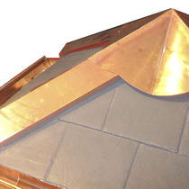 Scossalina per tetti, Scossalina da tetto - Tutti i produttori del ...