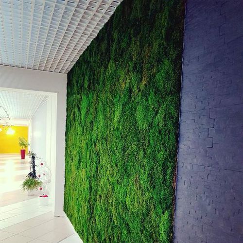 Parete vegetale stabilizzata - Mousse - Végétal Indoor - su misura ... Parete vegetale stabilizzata - Mousse - Végétal Indoor - su misura ...
